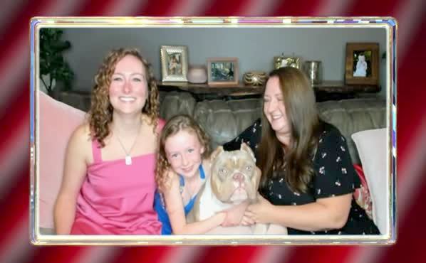 AFV - America's Funniest Home Videos - Sundays 7/6C on ABC