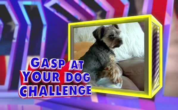 Assignment America | AFV | Discover This Week's Challenge